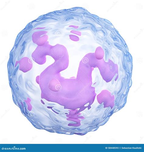 Basophil Cartoons Illustrations And Vector Stock Images 1317 Pictures