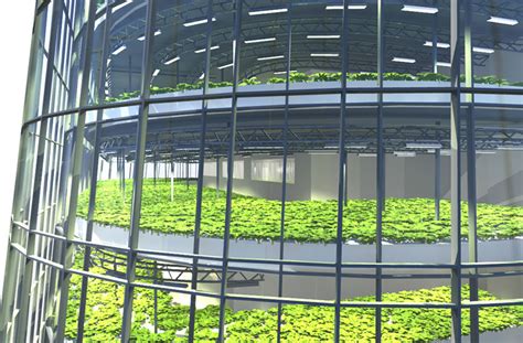 Suecia Ya Prepara Su Primer Invernadero Vertical 4335 M² De Cultivo