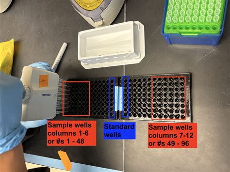 Molecprot Picogreenassay Lotterhos Lab Protocols