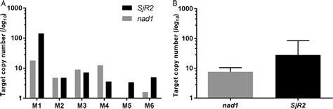 Detection Of S Japonicum Infection Using Dna From The Salivary Glands
