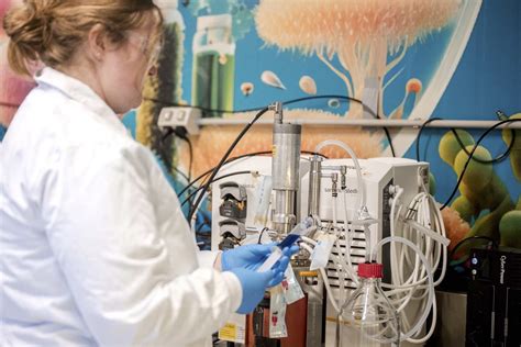 How Impact Valuation Helps Companies Meet The Latest Sustainability