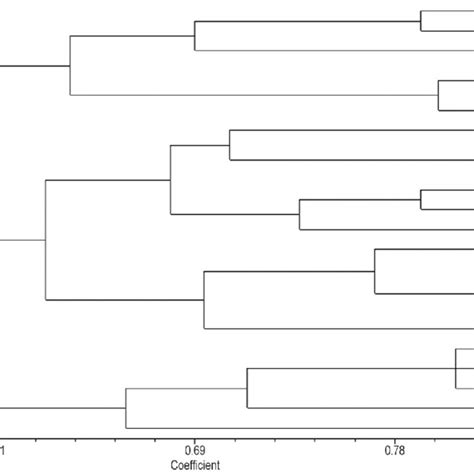 Dendrogram Depicting Genetic Diversity Among The Biofortified F 1 S