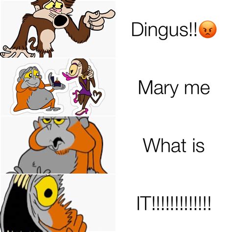 Dingus 😡 Mary Me What Is It Jackmcp611 Memes