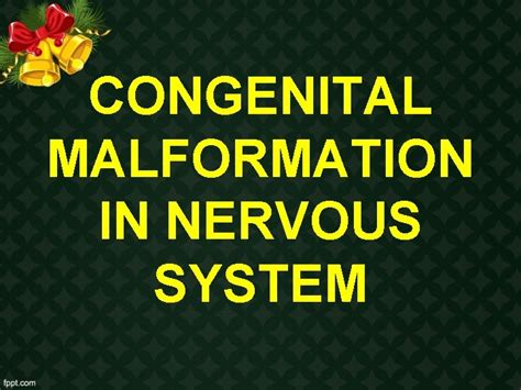 Congenital Malformation In Nervous System Anencephaly Definition