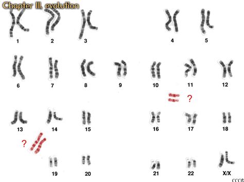 The Candy 28 By Cccm On Deviantart