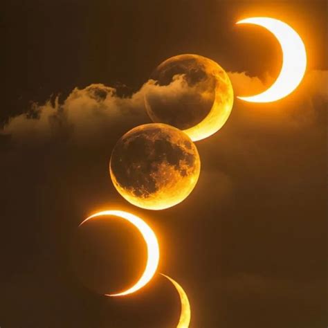 Chat With Mha Wolf Text Or Voice Enjoy Ai Chat Free And Safe