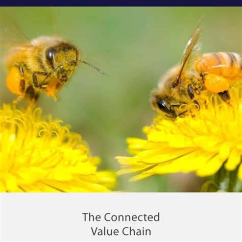 the connected value chain value chain solutions