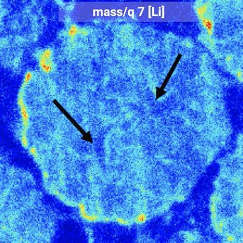 Webinar Exploring The Behavior Of Li Ion Batteries Using Fib Sem