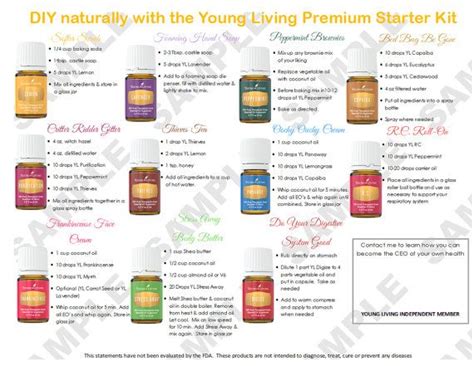 Young Living Premium Starter Kit Class Hand Out And Recipes Premium