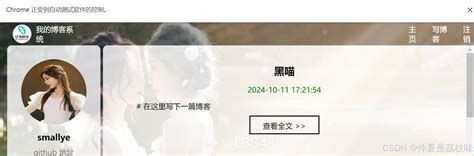 博客项目自动化测试（二）assertassertnotnull Csdn博客
