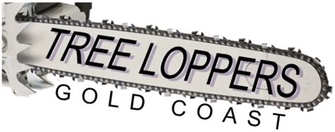 Tree Loppers Gold Coast Emergency Tree Felling And Removals