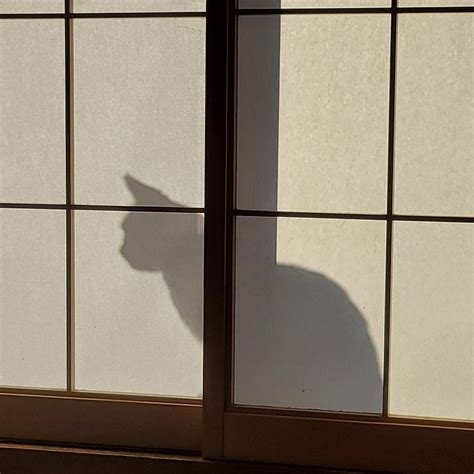 Cozyさんの投稿 Lemon8