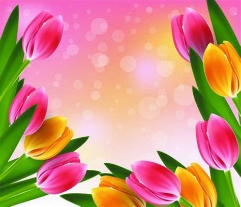 Pin De Beata Nowicka En Dyplomy Ramki Marcos Para Word Flores