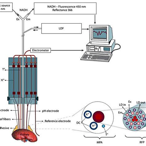 Schematic Representation Of The Monitoring Device Schematic