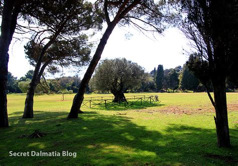 A Quick Tour Of Brijuni National Park Secret Dalmatia Blog Travel