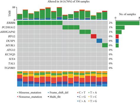 Gene Alterations And Survival Analysis Of Hub Genes A Mutation