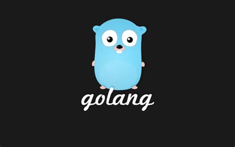 Golang Benchmarking Performance Coding Softwareengineering Developers Sumanta Kundu