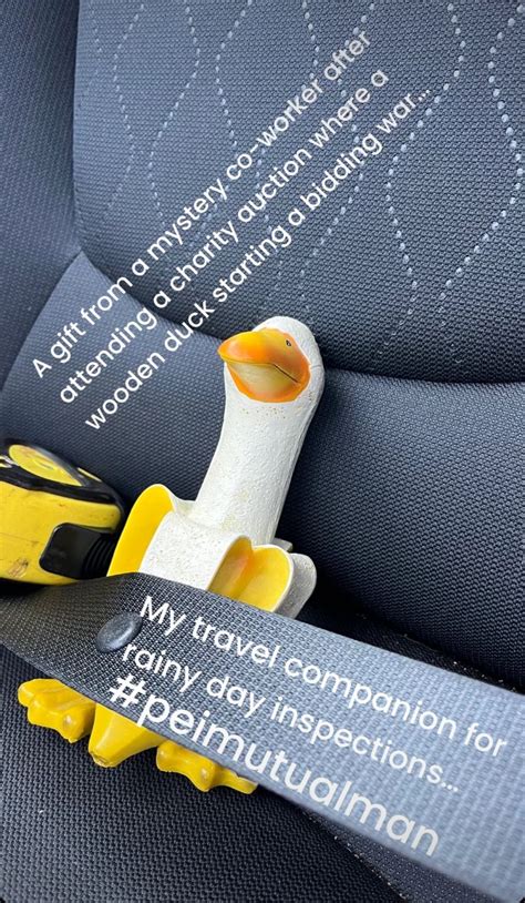 Kendall G Docherty Cip On Linkedin Peimutualman