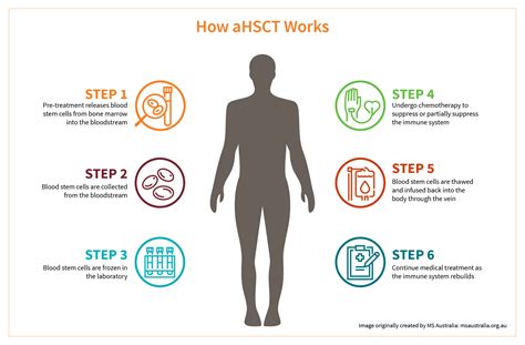 Ahsct In Ms Autologous Hematopoietic Stem Cell Transplantation National Multiple Sclerosis
