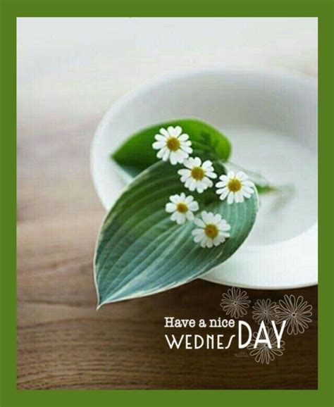 Good Morning Have A Nice Wednesday Wednesday Good Morning Quotes