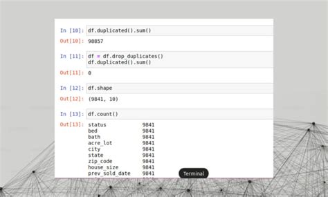 Data Cleaning Xlsx Or Csv With Python By Beril07 Fiverr