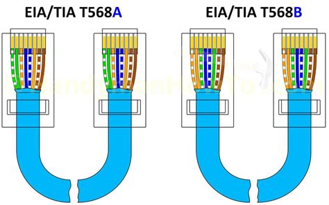 The Essential Guide To Cat 6 Connector Wiring Diagrams