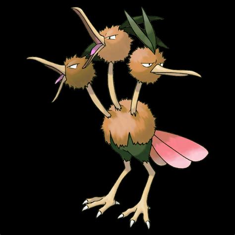 Dodrio Pokémon Wiki Fandom Powered By Wikia