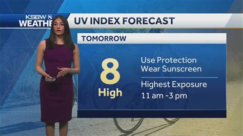 Ariana Araiza Weather Forecaster Mmj