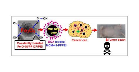 Dual Ph Thermoresponsive Shell Cross Linked Magnetic Mesoporous Nanospheres For Doxorubicin