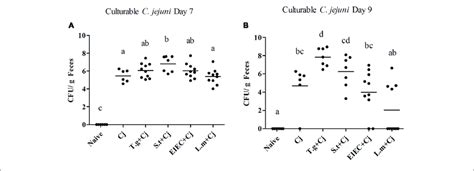 Culturable C Jejuni In Feces When Mice Were Infected By C Jejuni