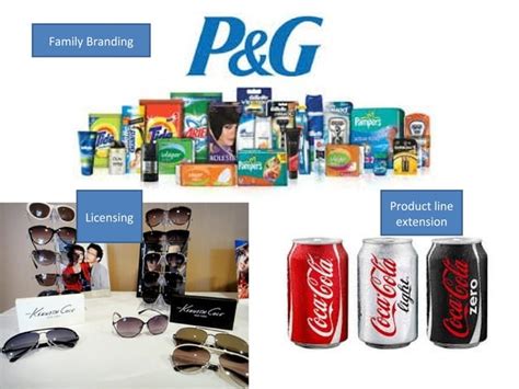 Classical Conditioning Brief Ppt