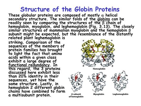 Ppt Chap3 Protein Structure And Function Powerpoint Presentation Id