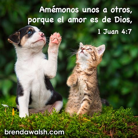 1 Juan 47 Brenda Walsh Scripture Images