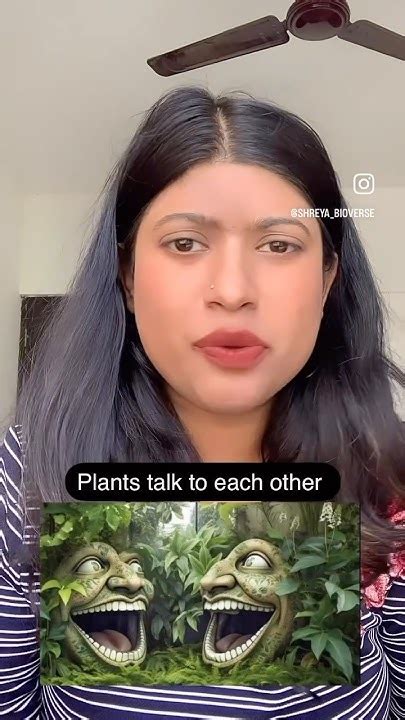 Plasmodesmata Plantbiology Cellbiology Botany Biologyfacts Youtube