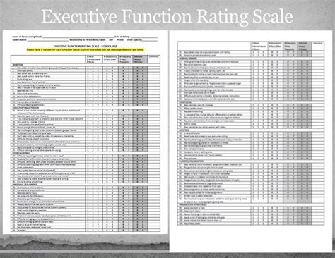 Pin By Nabrim On Executive Functions Portfolio Executive Functioning