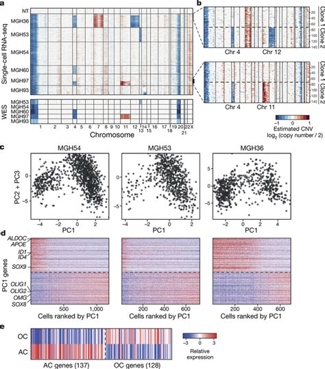 Oligodendroglioma Intra Tumor Heterogeneity Single Cell Portal