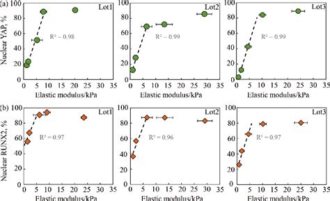 Figure 3 From Designing Elastic Modulus Of Cell Culture Substrate To Regulate Yap And Runx2