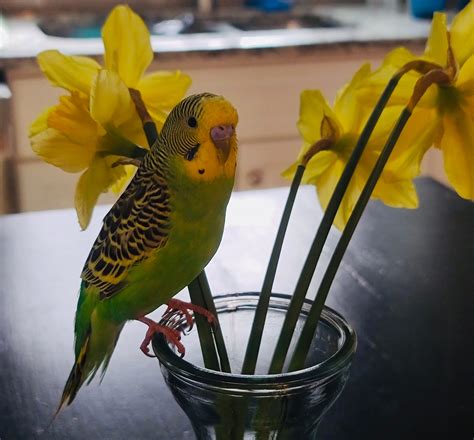 Migrating Postgresql Standalone Instance To Aurora Amazon Rds By Pavel Tsiukhtsiayeu Medium