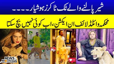 شیر پالنے والے ٹک ٹاکرز ہوشیار، محکمہ وائلڈ لائف ان ایکشن، اب کوئی نہیں بچ سکتا Youtube