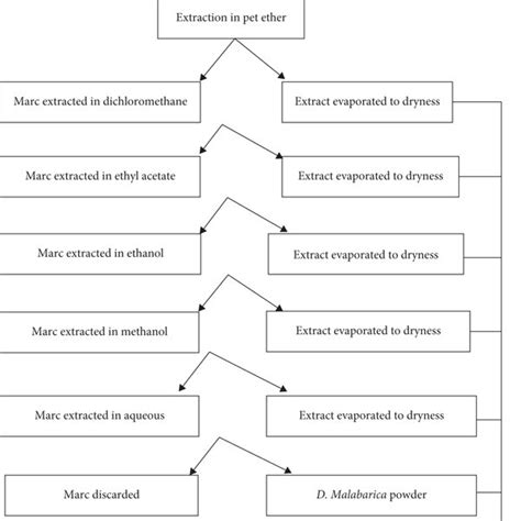 Schematic Representation For Extraction Of Phytochemicals Download Scientific Diagram