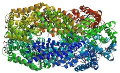 Crystal Structure Of C Phycocyanin From Spirulina Platensis 9