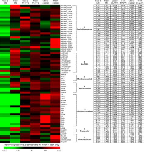 Heat Map Of Microarray Analysis And The Corresponding Values Of Fold