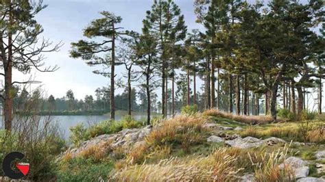 Maxtree Plant Models Vol24 Cgarchives