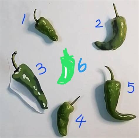 Which Green Peepper Is Drawn 99 Fail1😱😱 Rokbuddyretard