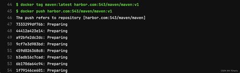 Gitlab Cicd笔记 第二天 主机套接字进行构建并push镜像。gitlab Ci推镜像 Csdn博客