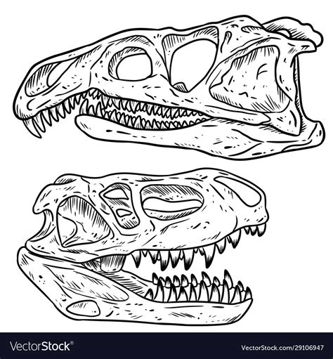 How To Draw Carnivorous Dinosaurs