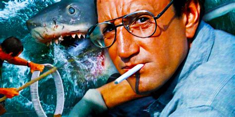 Was Jaws Based On A Real Shark Real Life Attacks Explained
