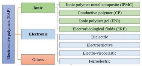 Electroactive Polymers Encyclopedia Mdpi
