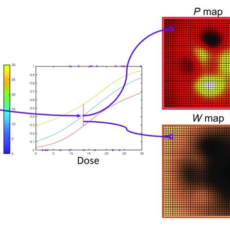 Computation Of Pace Prediction On A Test Patient With Dose Map D 0