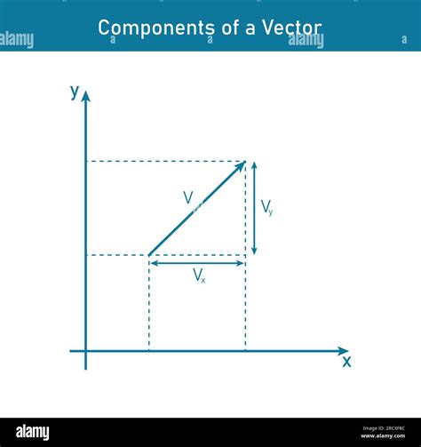 Components Of A Vector In The Coordinate Axis The Parts Of A Vector In